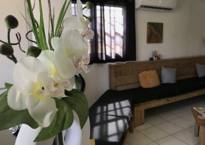 Divi Re-Skin | Aruba's Finest Beauty Salon